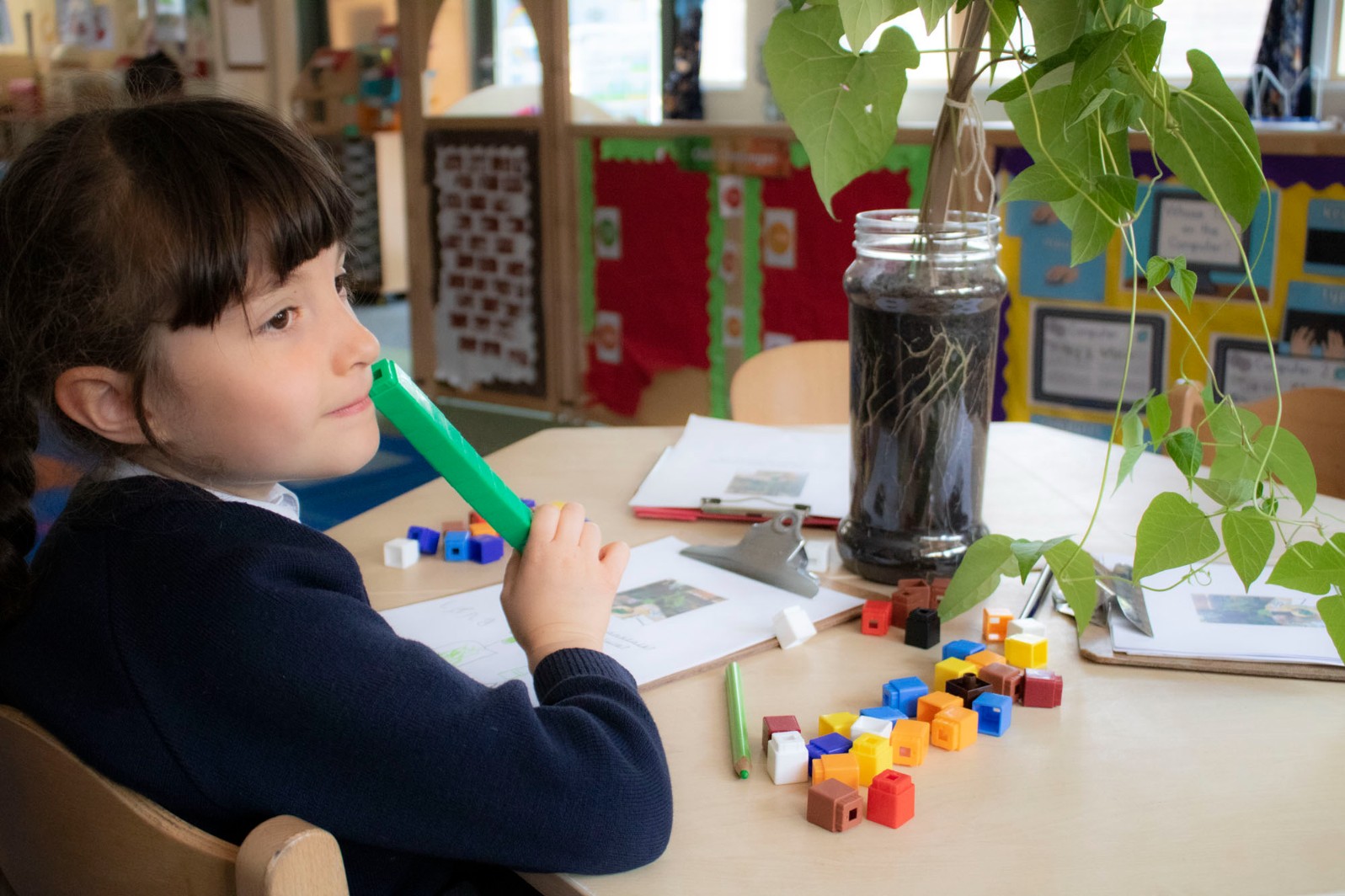 Year Group Curriculum